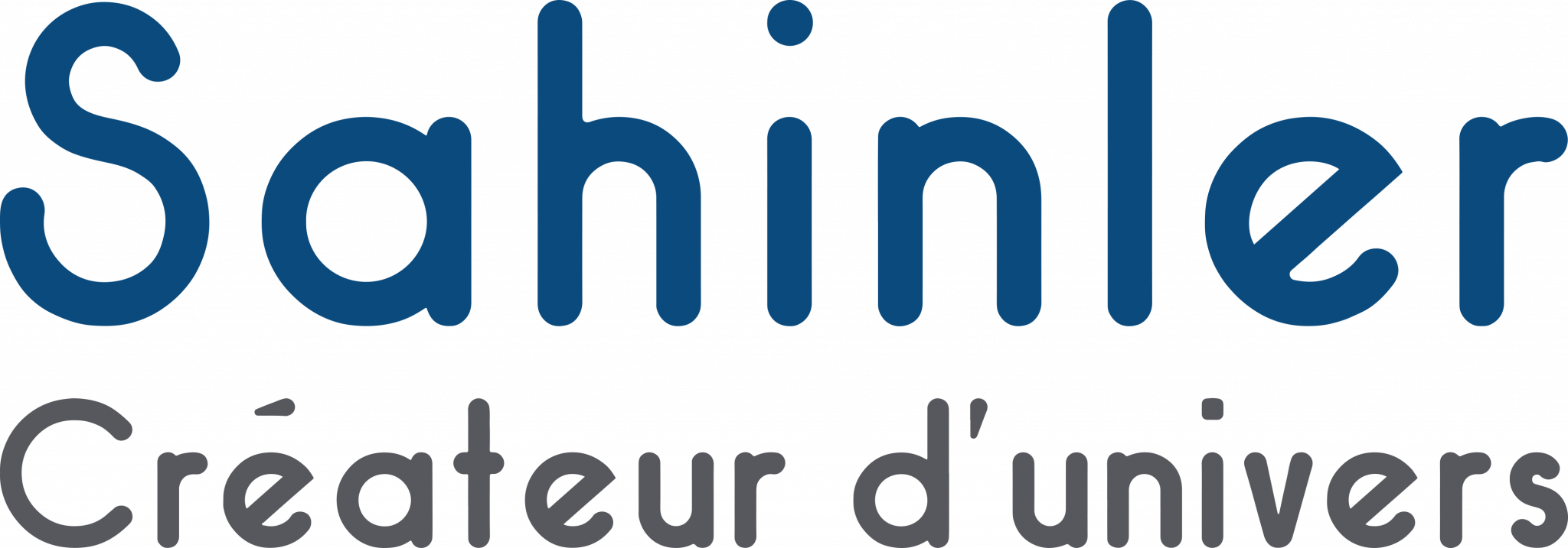 Şahinler France – Şahinler Holding